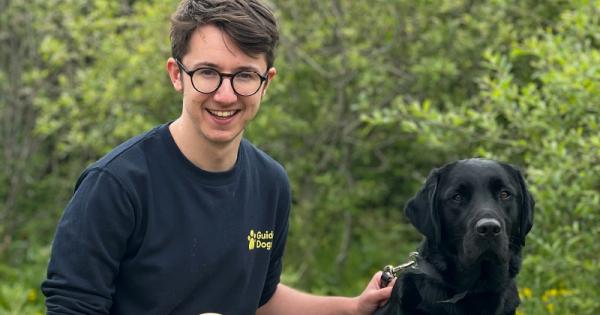 Gortin Glen setting for walk in support of Guide Dogs NI - Photo 1 of 1 ...