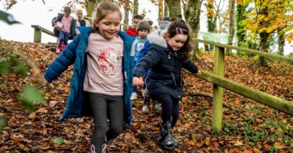 Gibson Primary School to mark 50th anniversary with week-long ...